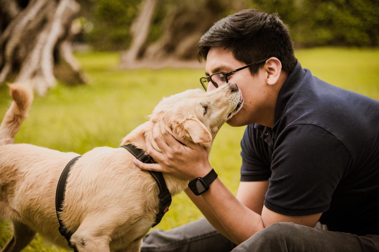 PORTAFOLIO DEIVID ENEQUE SEVILLANO